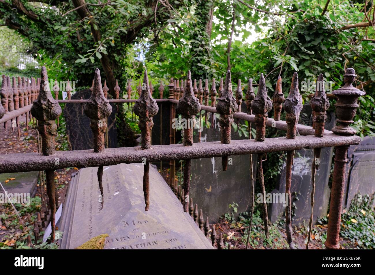Rusted decorative iron work enclose gravestones in Sheffield's recently ...