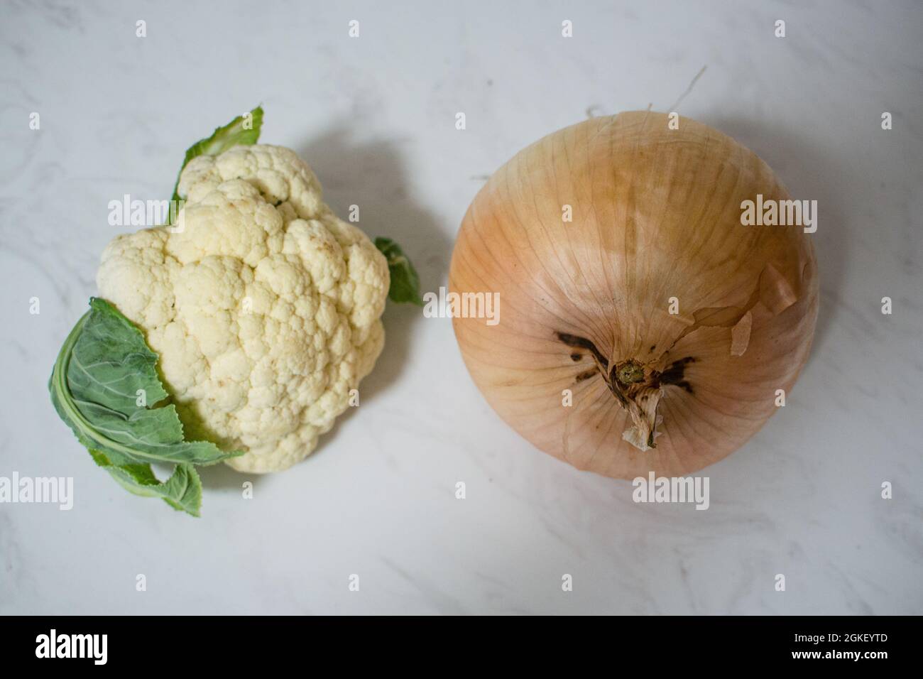 Size comparison relative size tiny small hi-res stock photography and ...