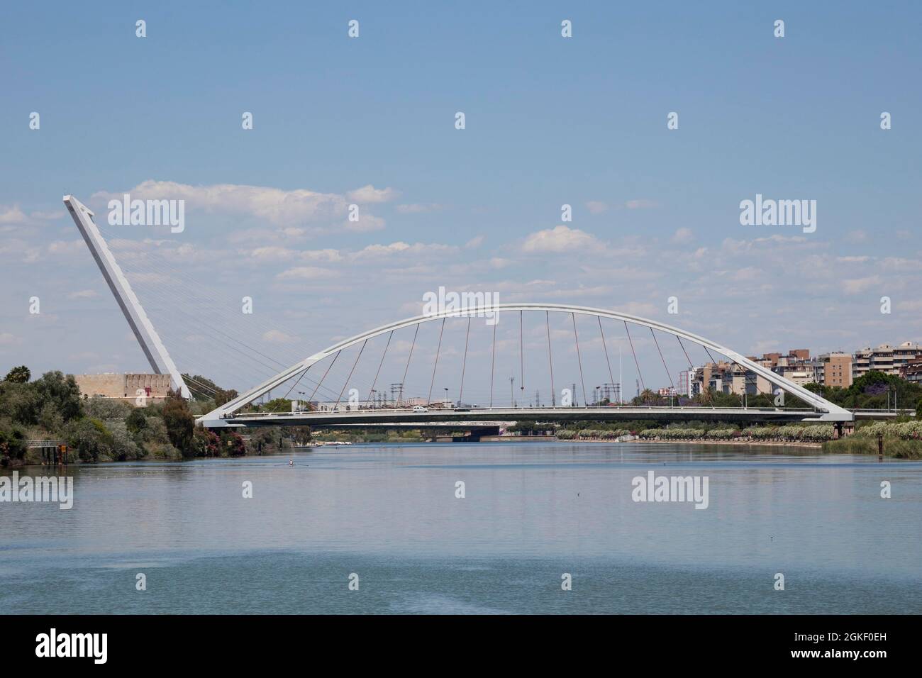 Alamillo Bridge, Puente del Alamillo, cable-stayed bridge, Guadalquivir ...