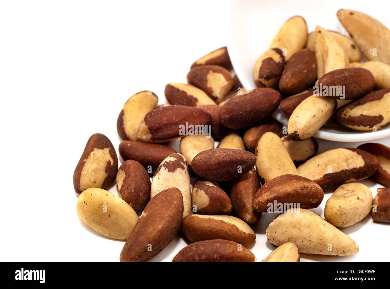 Brazil nut pod hi-res stock photography and images - Alamy