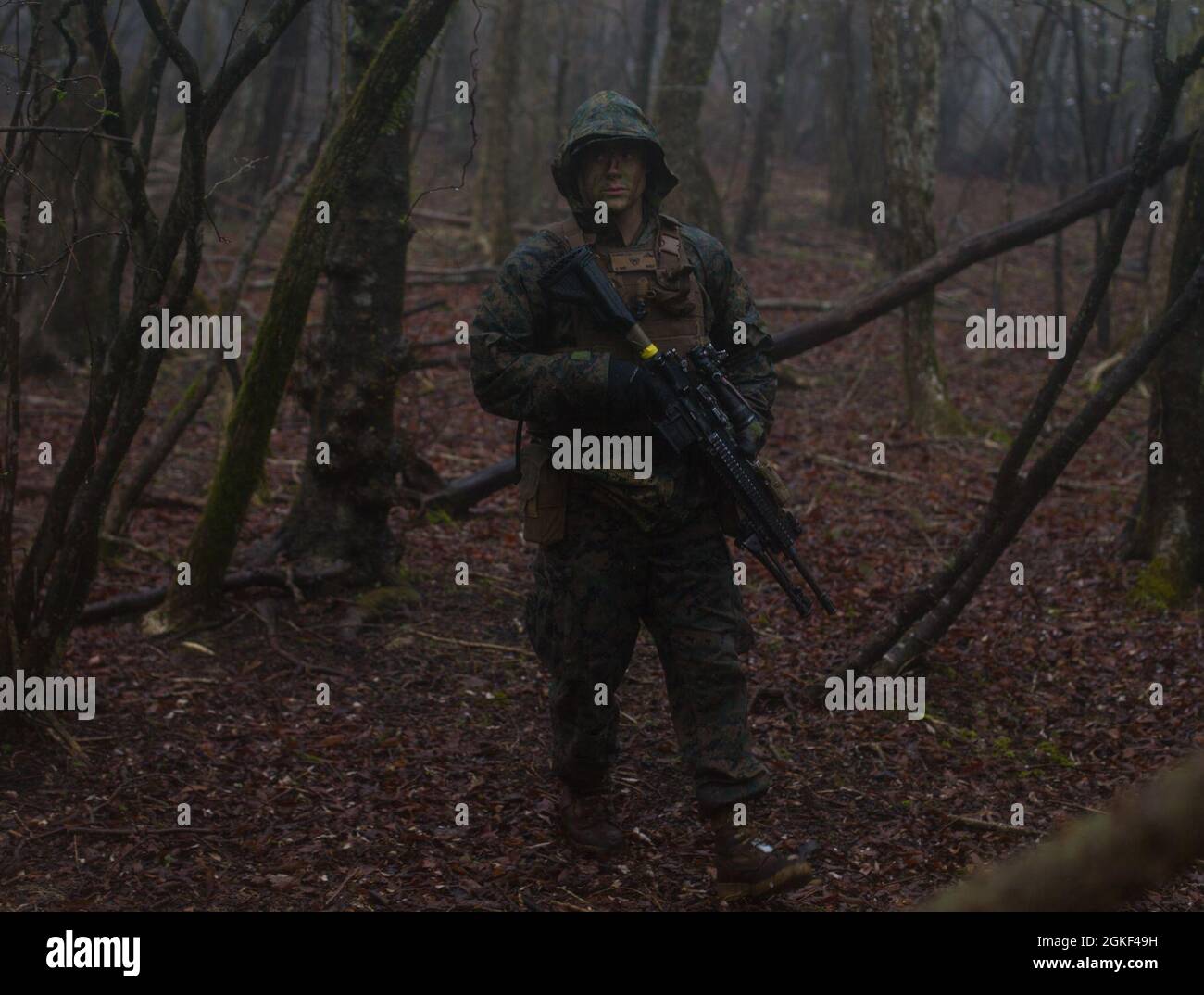 21 engineer regiment hi-res stock photography and images - Alamy