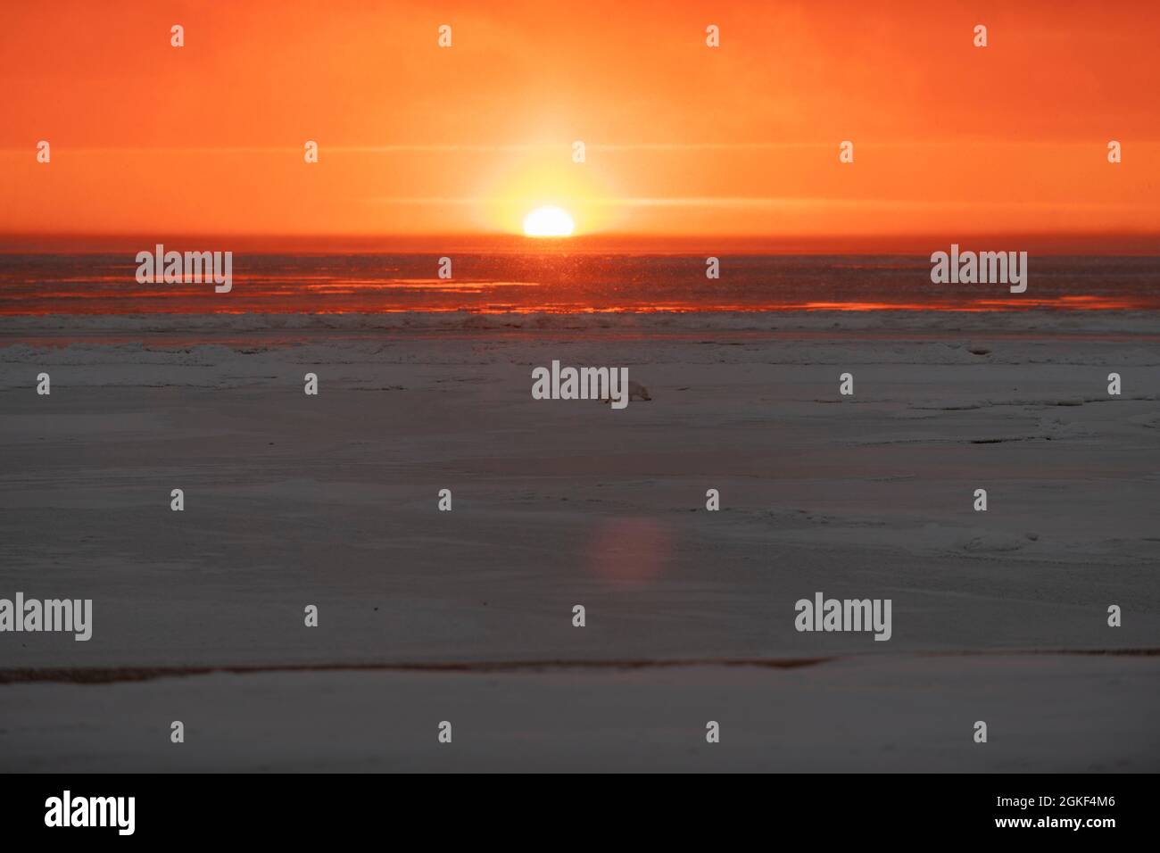 Arctic fox sunset orange hi-res stock photography and images - Alamy