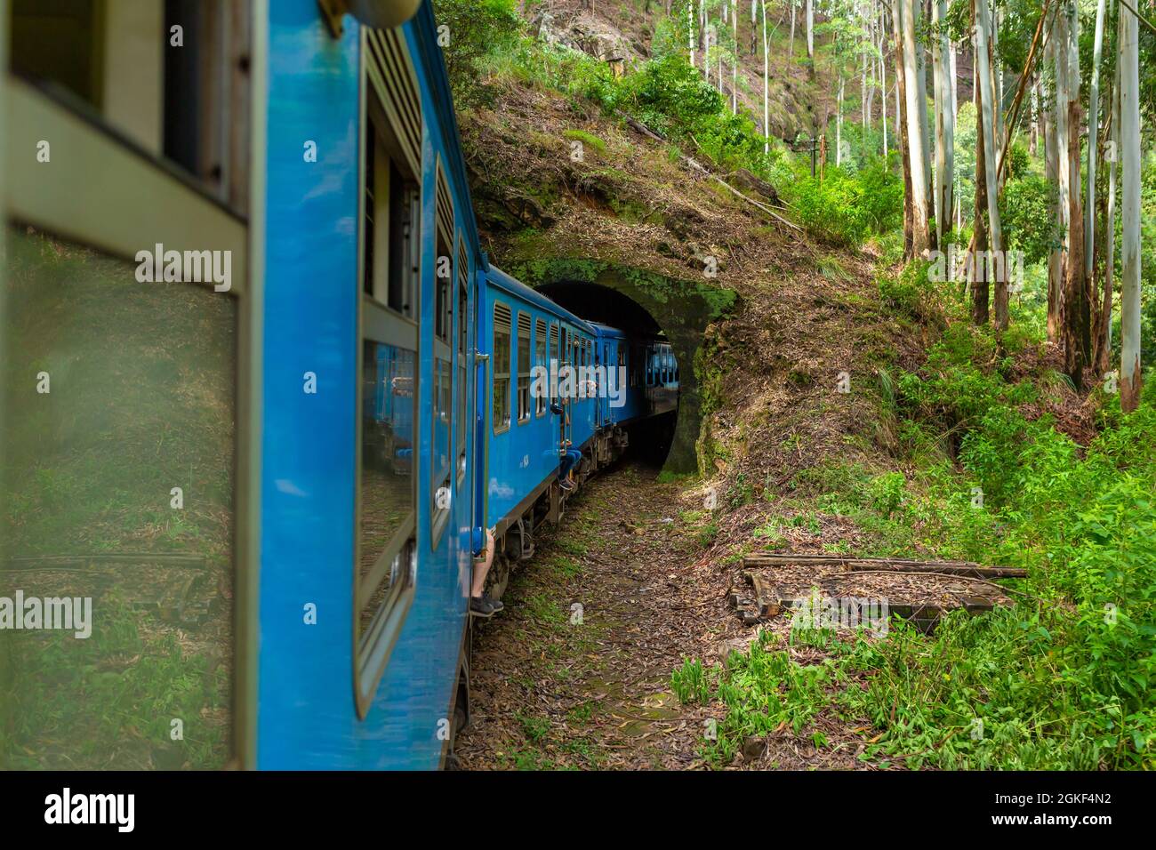 A blue passenger train moves through the jungle of Sri Lanka Stock ...