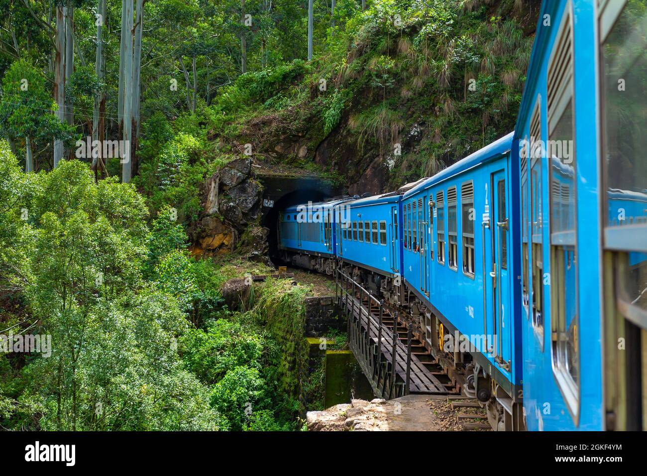 A blue passenger train moves through the jungle of Sri Lanka Stock ...