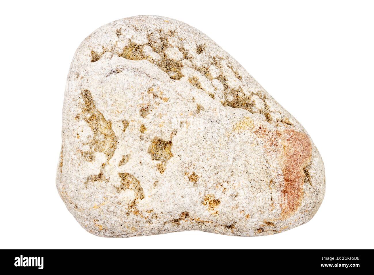 Top view of single gray pebble isolated on white background Stock Photo ...