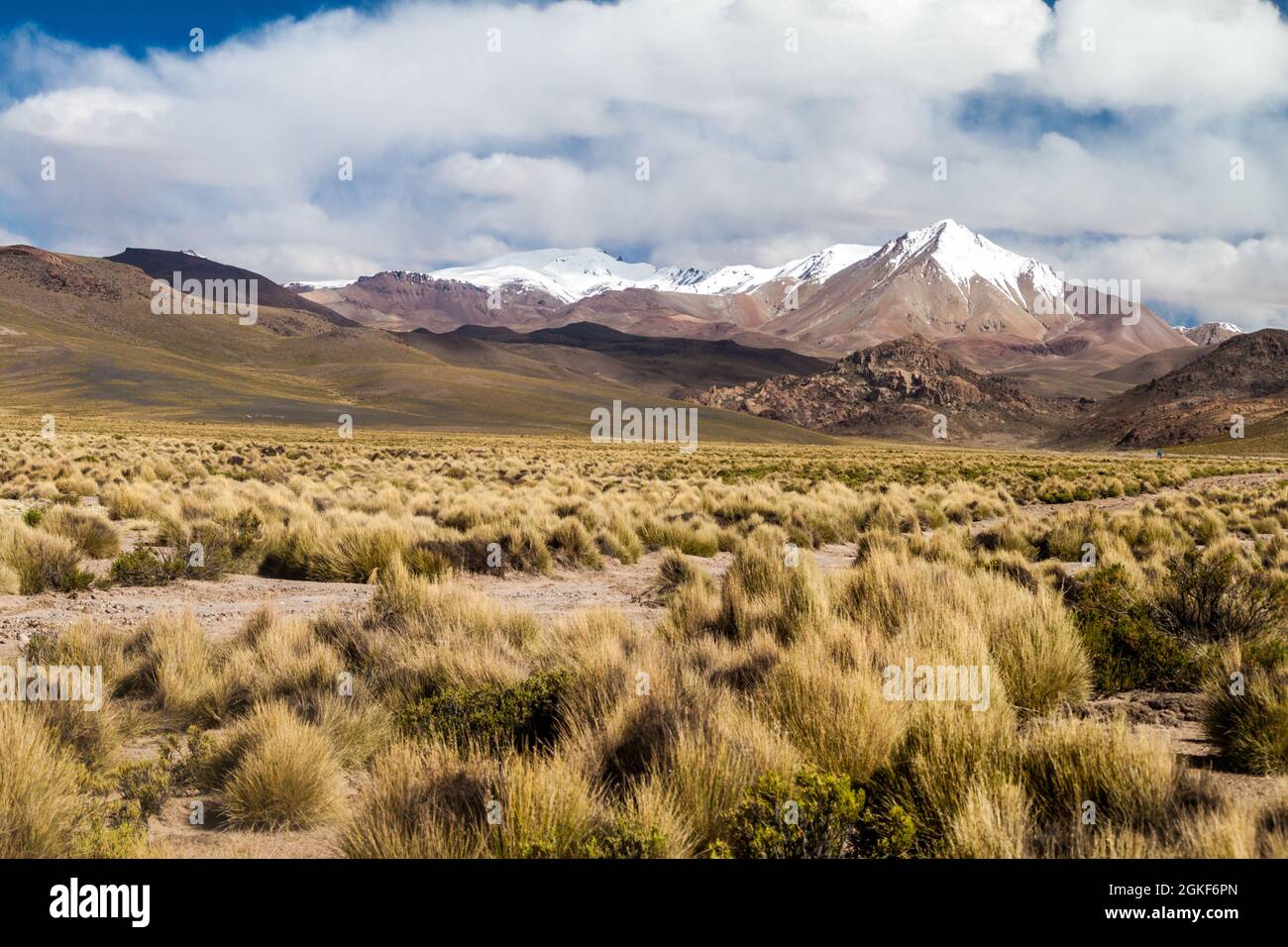 Snow covered mountains soaring from altiplano in Bolivia Stock Photo ...
