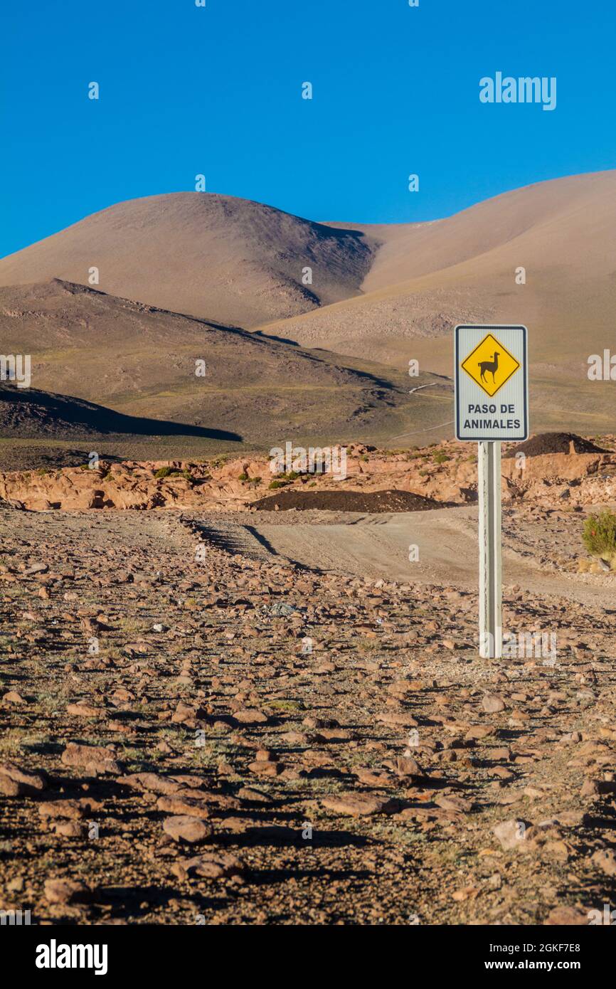 Alpaca warning sign hi-res stock photography and images - Alamy