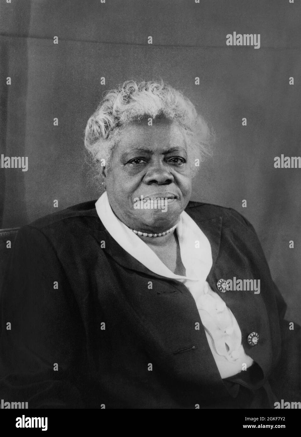 Mary mcleod bethune portrait hi-res stock photography and images - Alamy