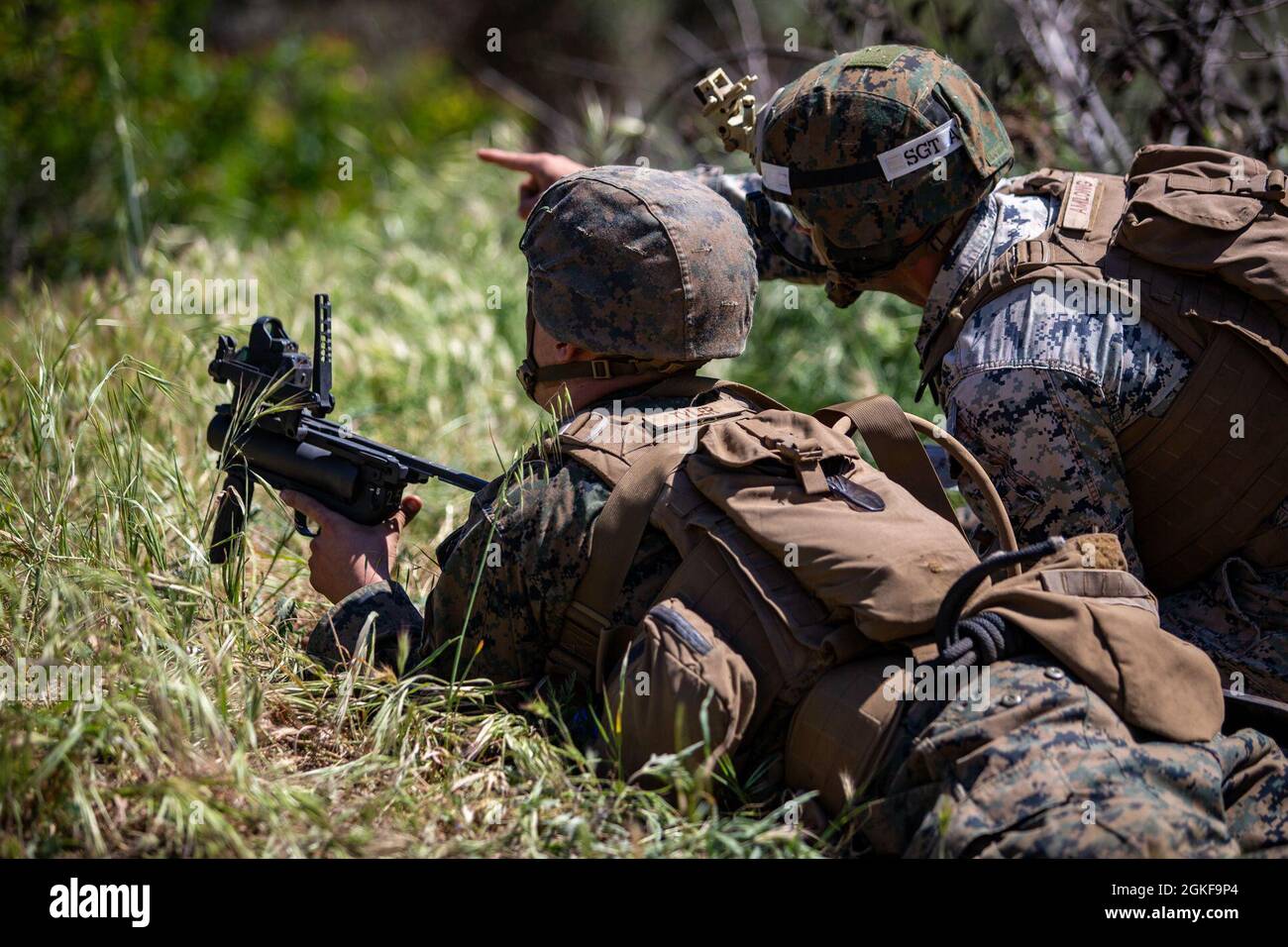 A U.S Marine combat instructor with Alpha Company, Infantry Training ...