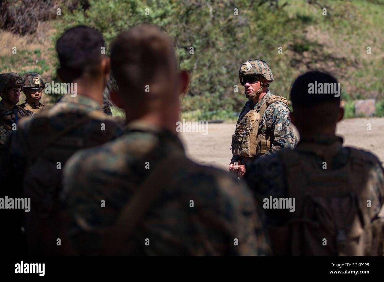 A U.S Marine combat instructor with Alpha Company, Infantry Training ...