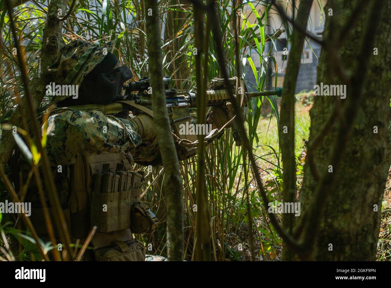 U.S. Marine Corps Cpl. Judson Sorrellis, a mortarman with 2d Battalion ...