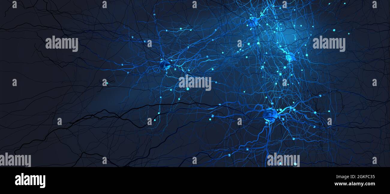 Signal transmitting neuron or nerve cell- 3d illustration Stock Photo ...