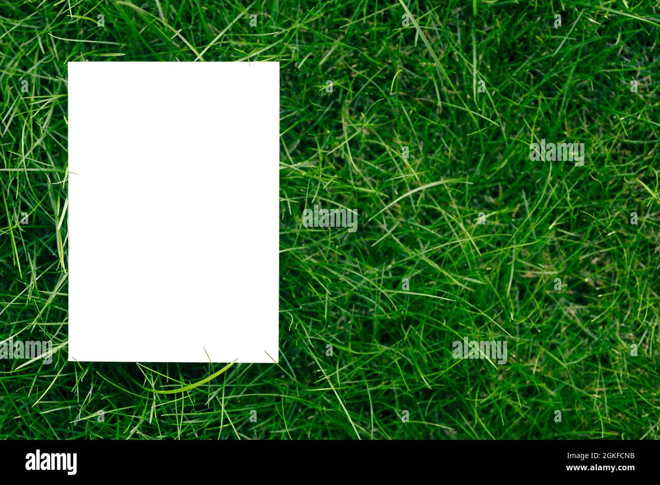 Flat grass texture hi-res stock photography and images - Alamy
