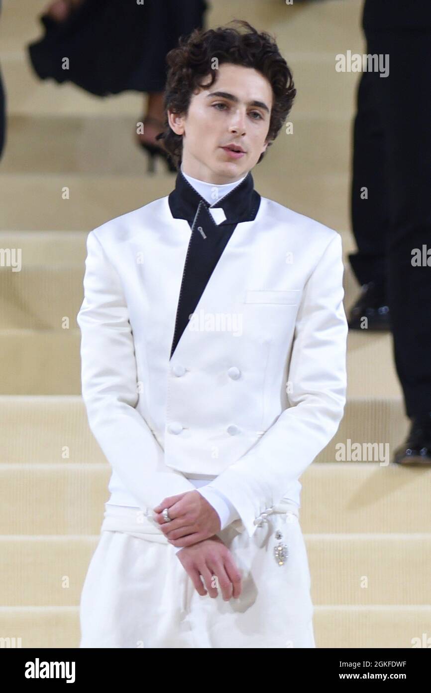 Timothee chalamet met gala hi-res stock photography and images - Alamy