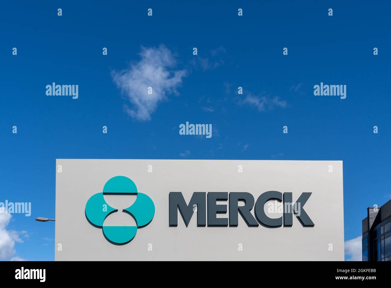 Merck logo hi-res stock photography and images - Alamy