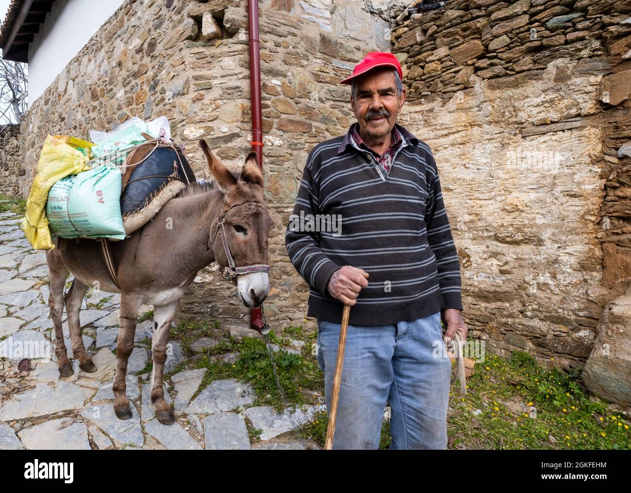 With traditional donkey saddle hi-res stock photography and images - Alamy
