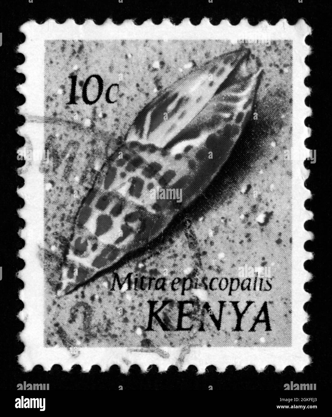 Stamp print in Kenya, shell Stock Photo - Alamy