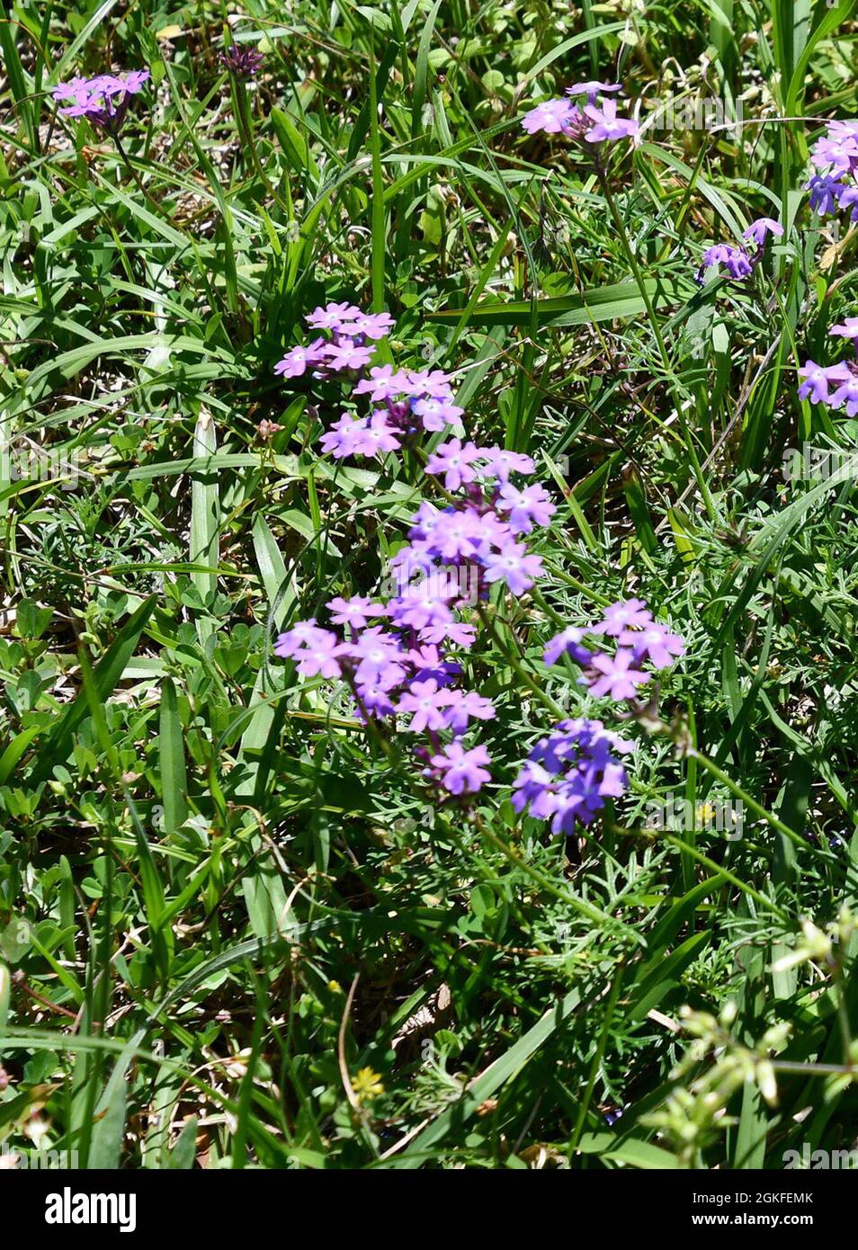 Marion bonner trail hi-res stock photography and images - Alamy