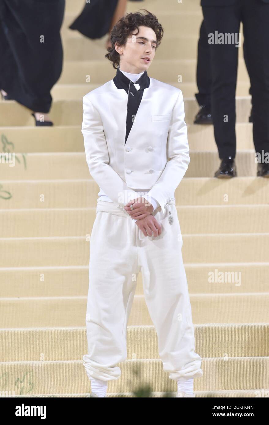 Timothee chalamet met gala hi-res stock photography and images - Alamy