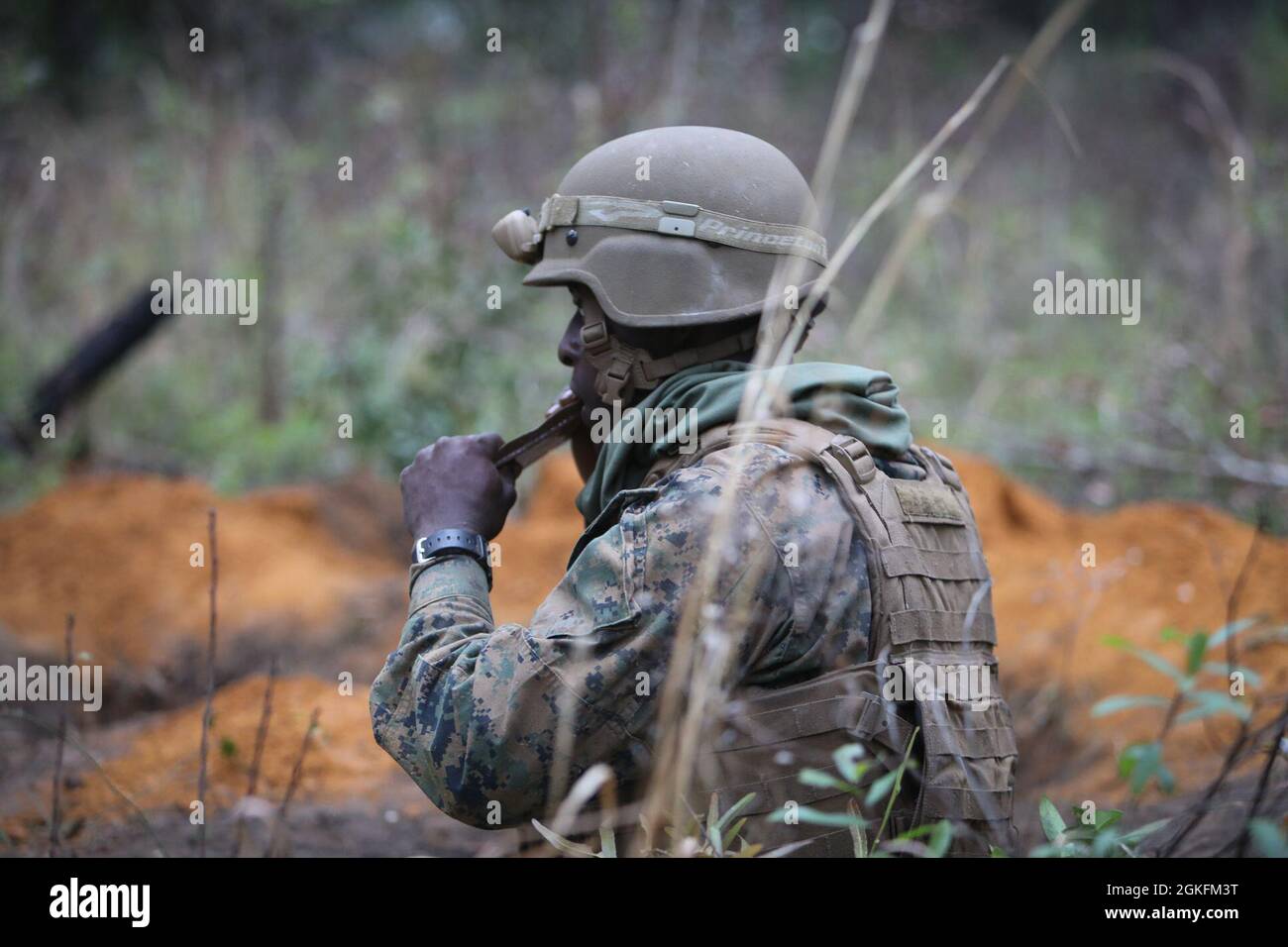 Marines abroad Marine Corps Logistics Base Albany conducted basic ...