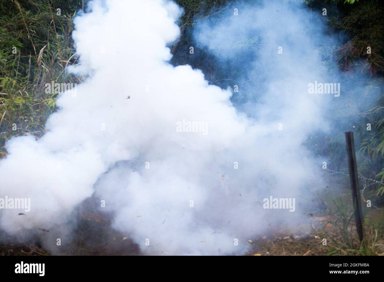An artillery simulation round explodes as U.S Marines With Battalion ...