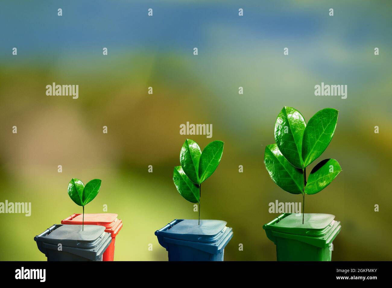 Green plant sprouts on garbage containers for separate garbage ...