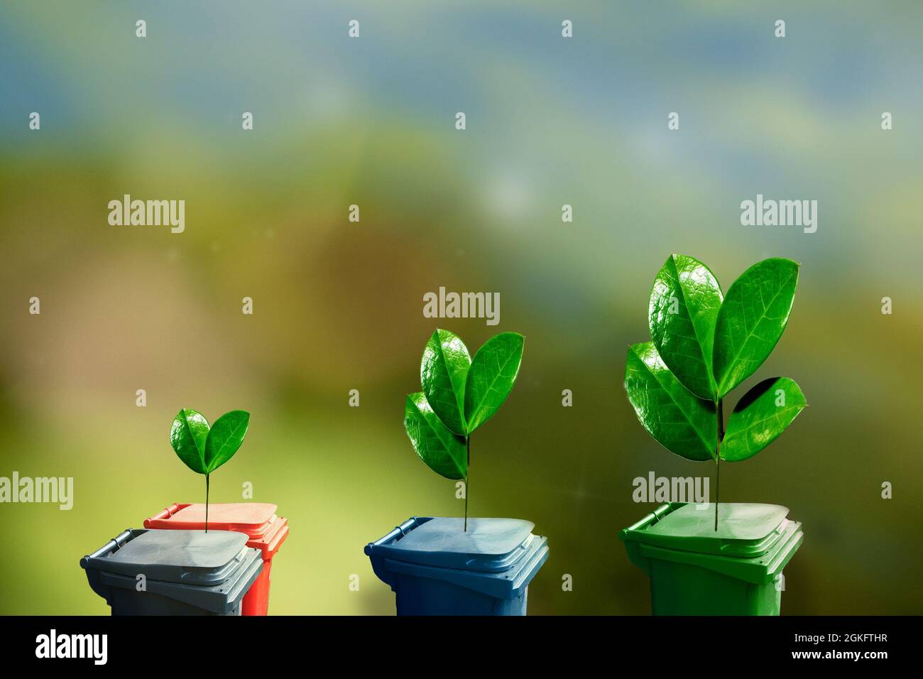 Green plant sprouts on garbage containers for separate garbage ...