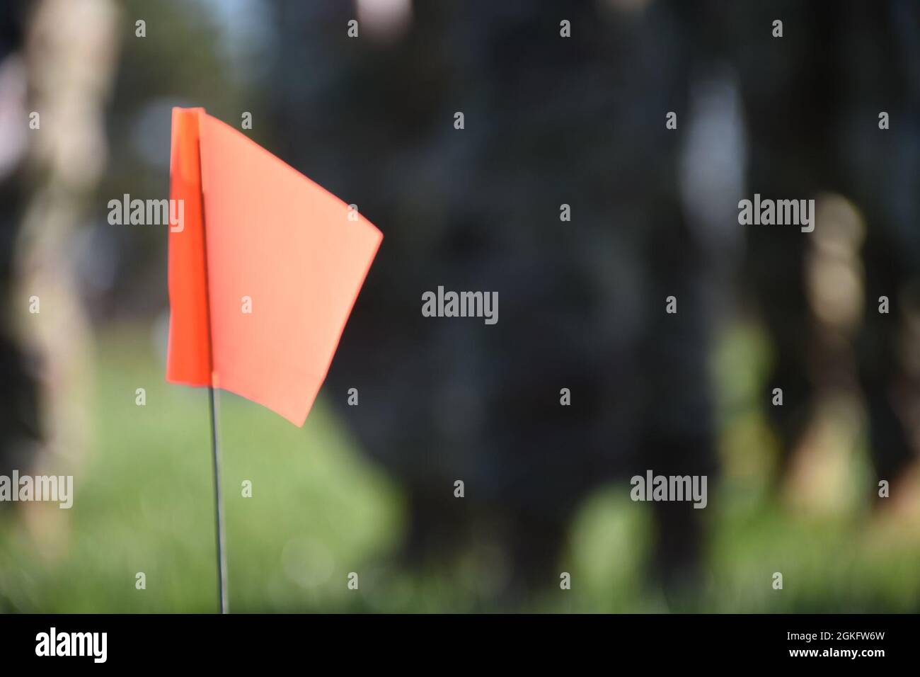 Airmen from the 442d Force Support Squadron conduct a search and ...