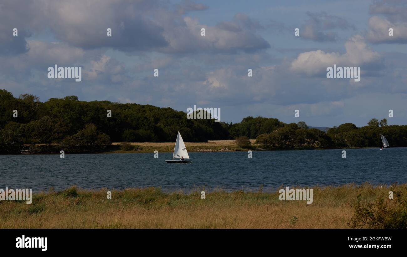 Summer season england uk hi-res stock photography and images - Alamy