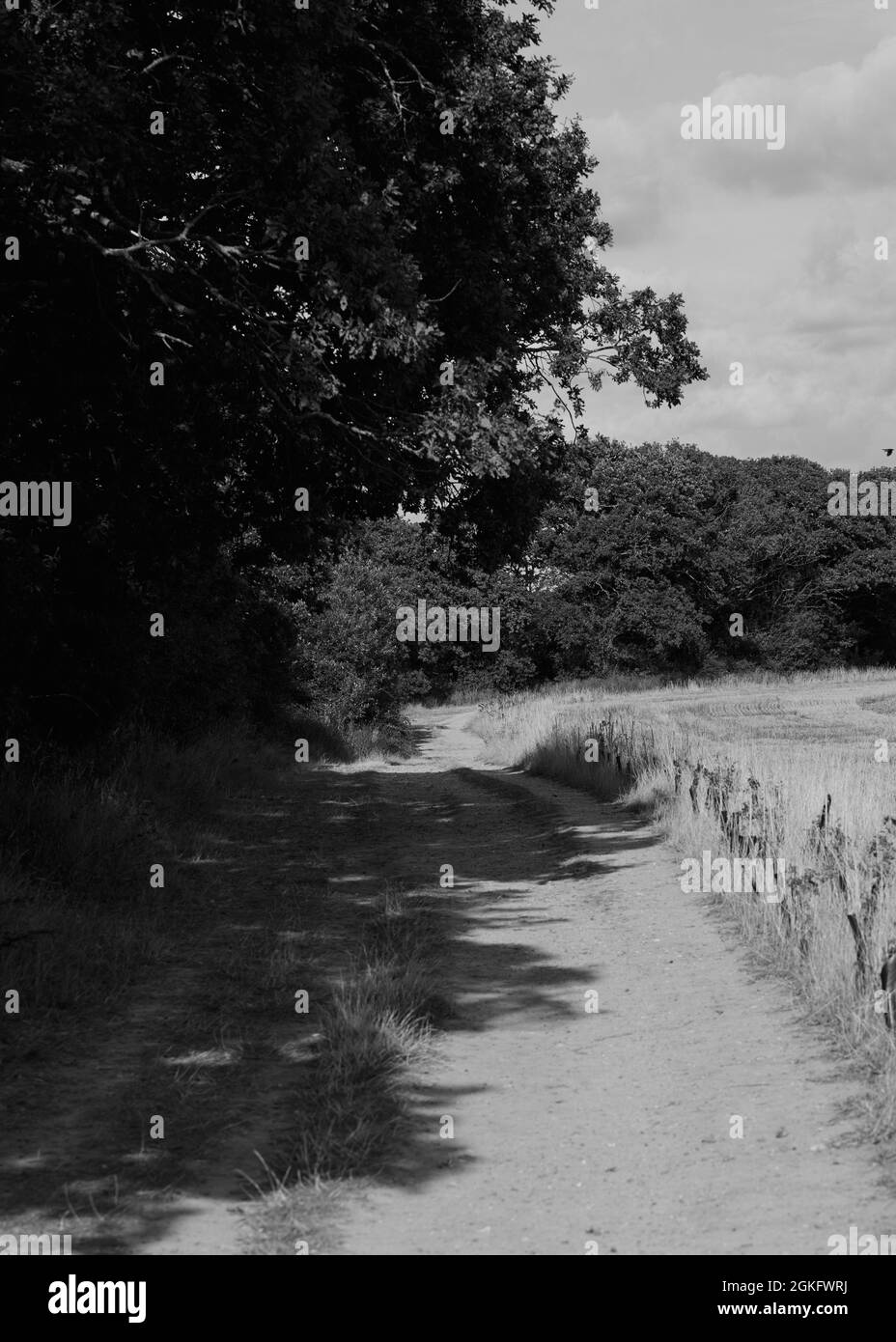 Habitat open countryside Black and White Stock Photos & Images - Alamy