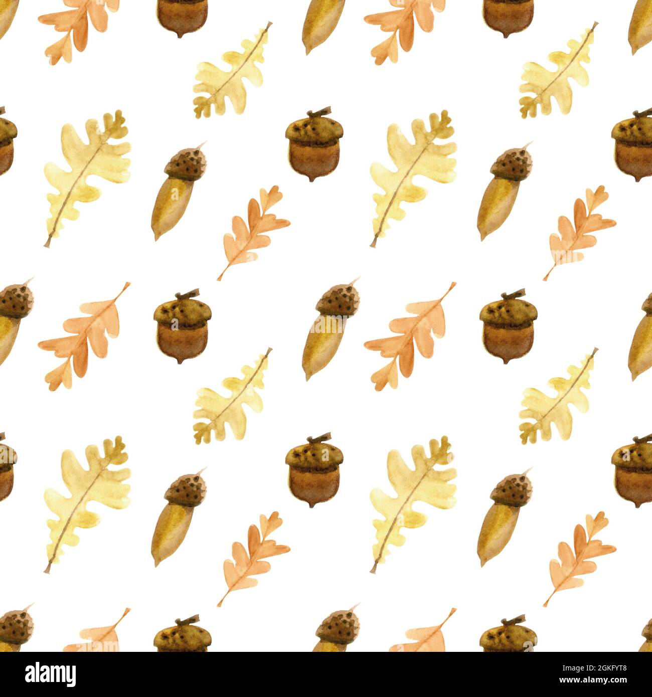 watercolour hand drawn acorn and oak leaf pattern Stock Photo - Alamy