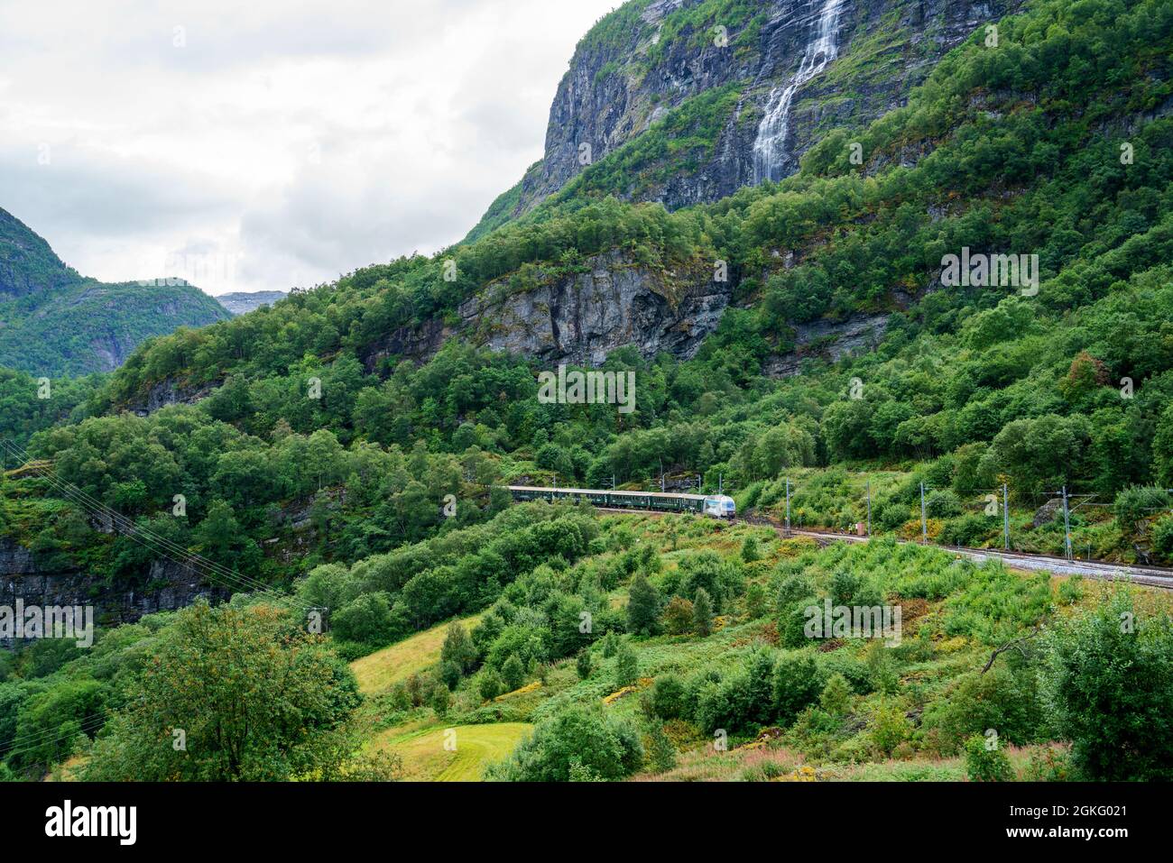 Landscape with train on the route between Myrdal and Flam, Norway Stock ...