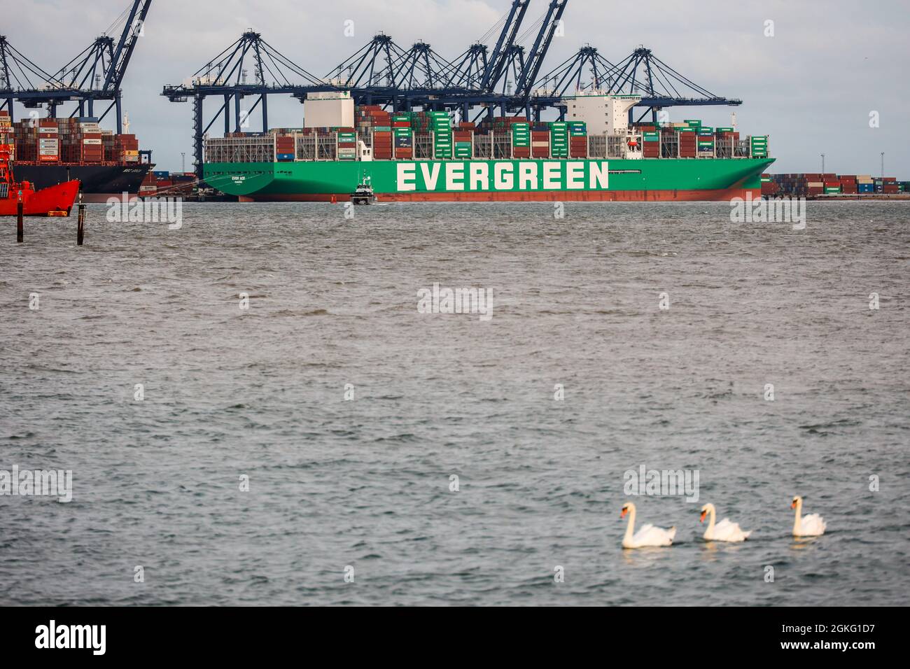 World's largest container ship docked in Felixstowe in September 2021 ...