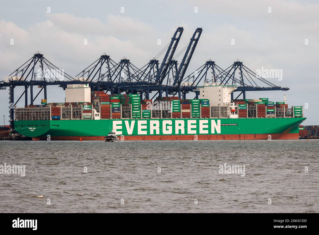 World's largest container ship docked in Felixstowe in September 2021 ...