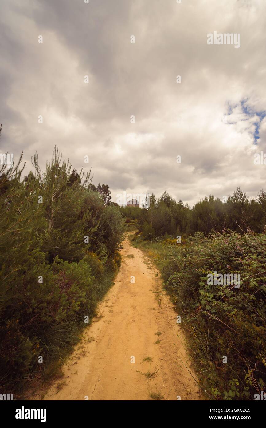 Midle season hi-res stock photography and images - Alamy