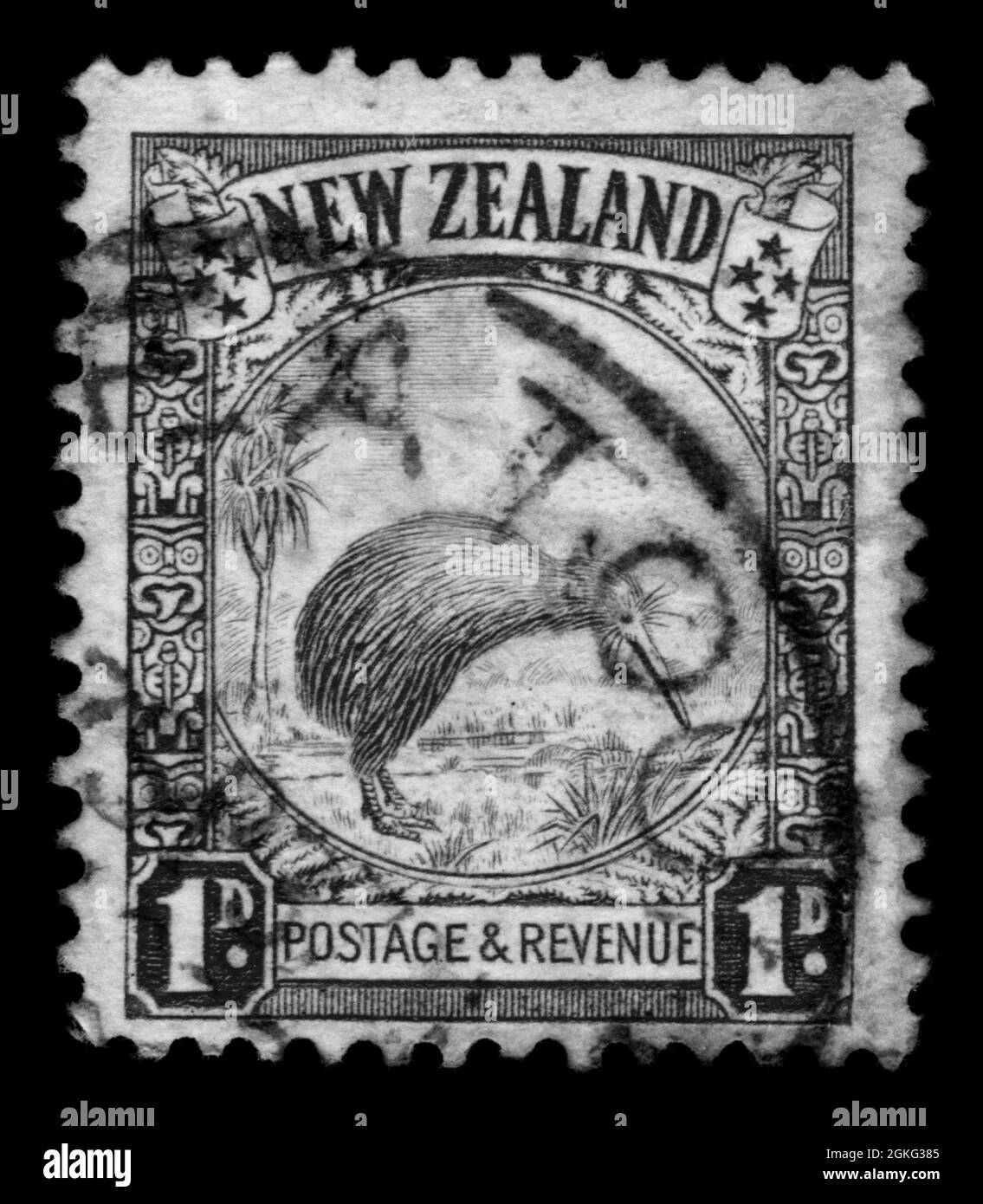 Kiwi new zealand Black and White Stock Photos & Images - Alamy