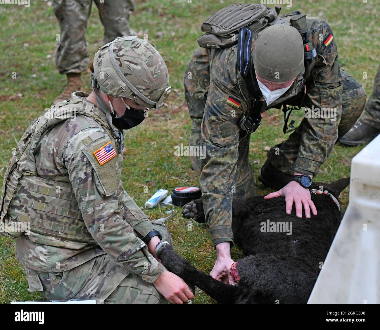 1st military working dog regiment hi-res stock photography and images ...