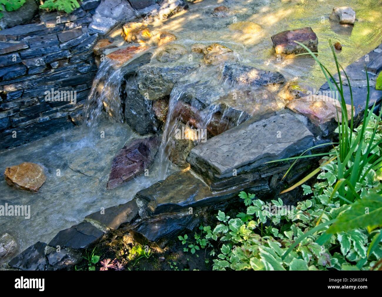 Riley wilderness park hi-res stock photography and images - Alamy