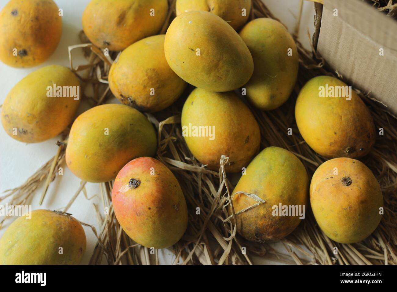 Alphonso Mangoes kept on hay. They are oval in shape and about 4 to 6 ...
