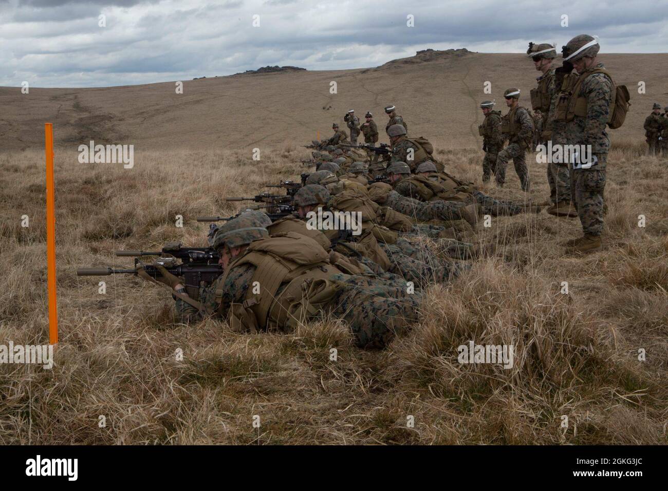 Blt 1 8 hi-res stock photography and images - Alamy