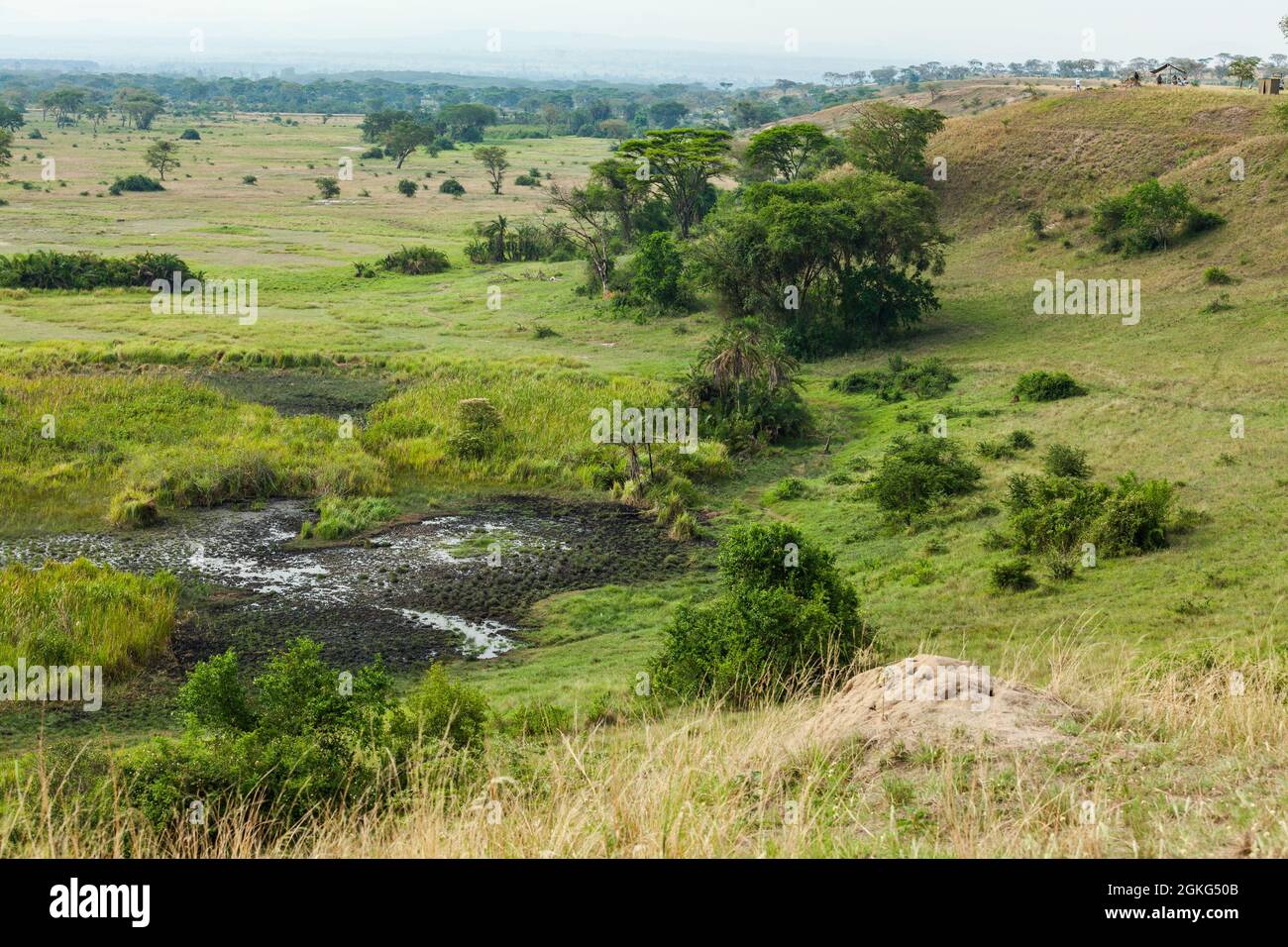 Dried out swamp in african savanna. Queen Elizabeth National Park ...