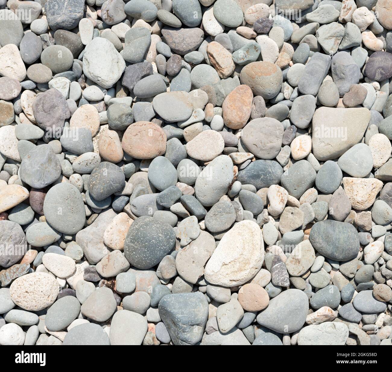 Beach dry pebble of various forms as natural background Stock Photo - Alamy
