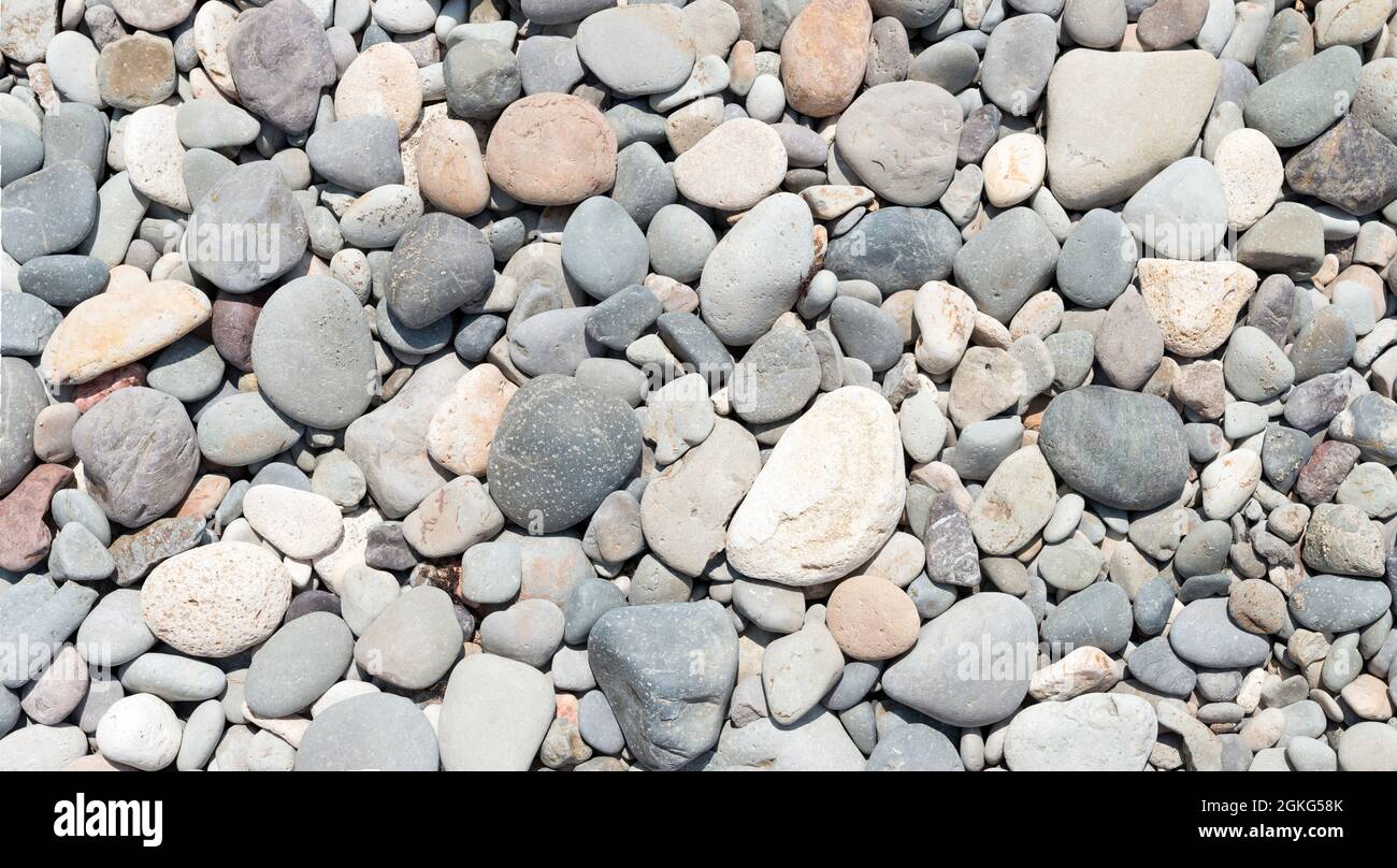 Beach dry pebble of various forms as natural background Stock Photo - Alamy