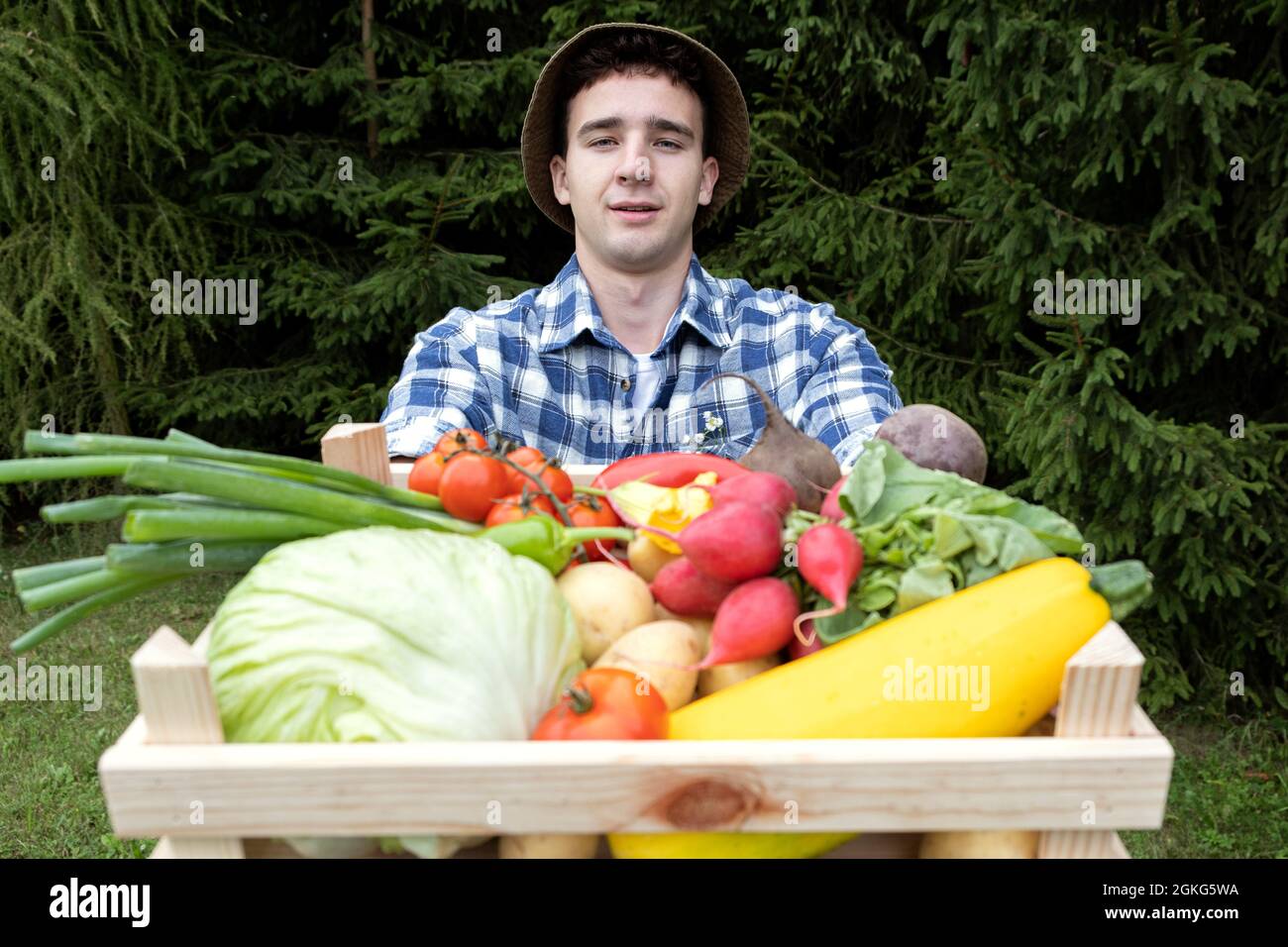 Teen picking vegetable garden hi-res stock photography and images - Alamy