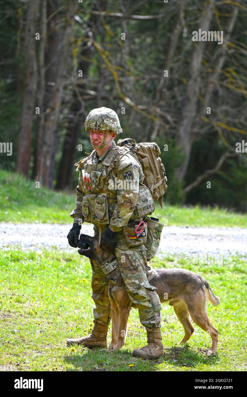 100th Military Police Detachment, Military Working Dog (MWD) undergoes ...