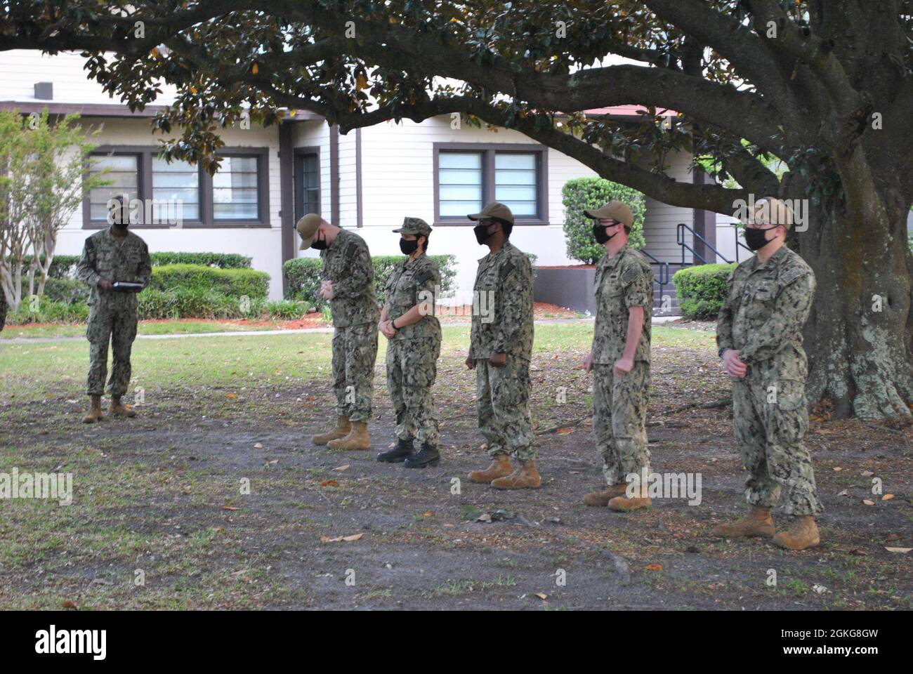 Nctams lant hi-res stock photography and images - Alamy