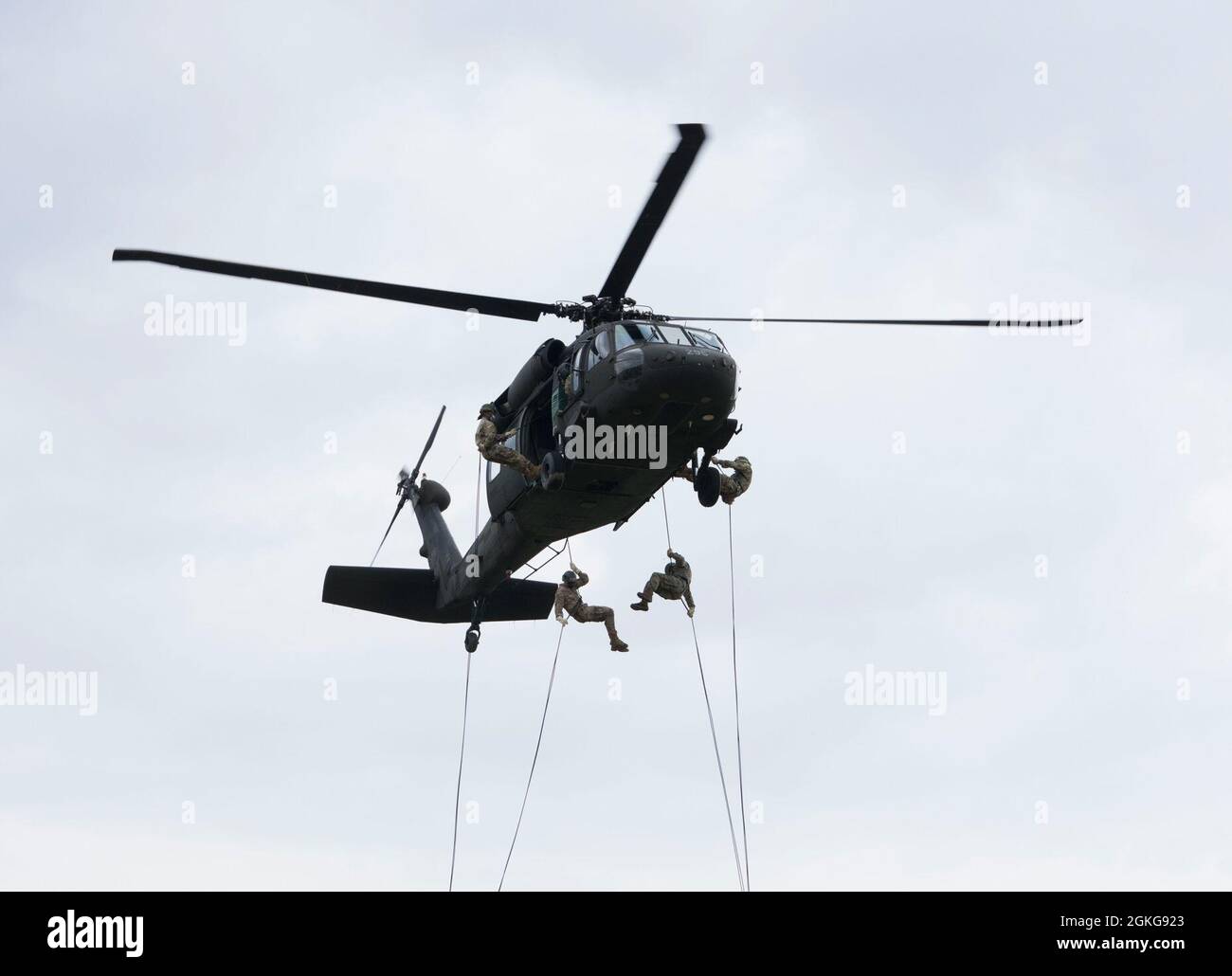 Soldiers rappel from a UH-60 Black Hawk helicopter during Air Assault ...