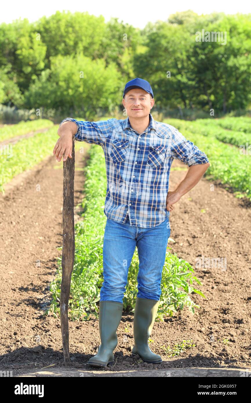 Mature farmer with hoe standing in field in field Stock Photo - Alamy