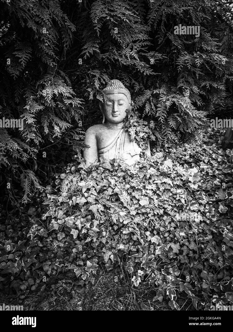 Meditative mindfulness Black and White Stock Photos & Images - Alamy