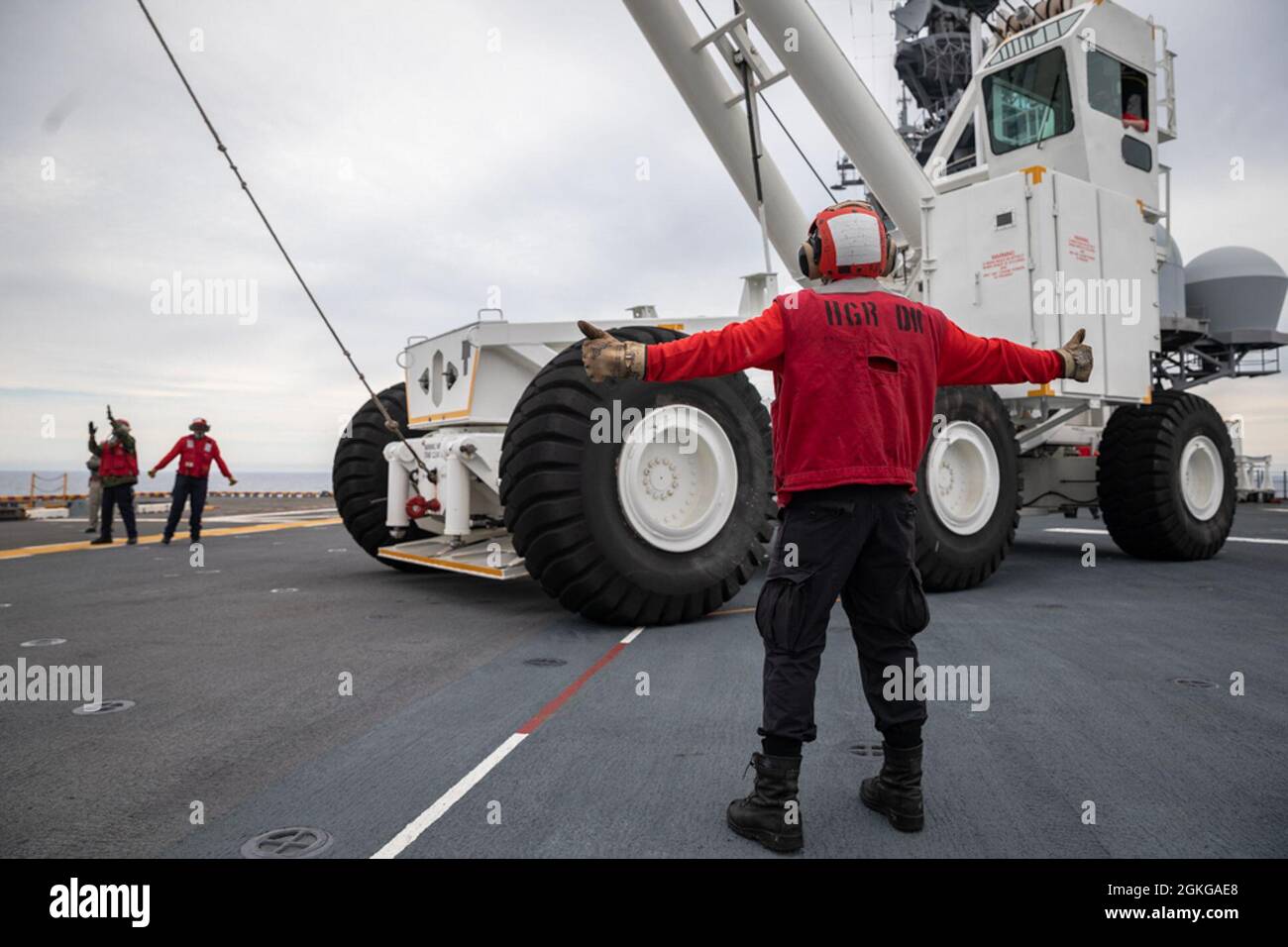 Crane wasp hi-res stock photography and images - Alamy